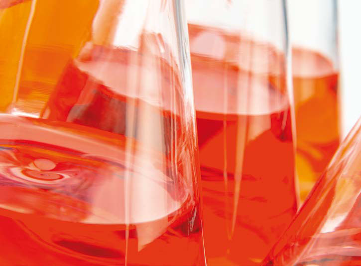 Sterilization devices | Autoclaves | Laboklav ECO 80 and 135